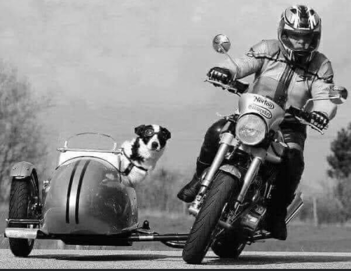 HANG ON!! ITS FRIDAY!! | ridersblock